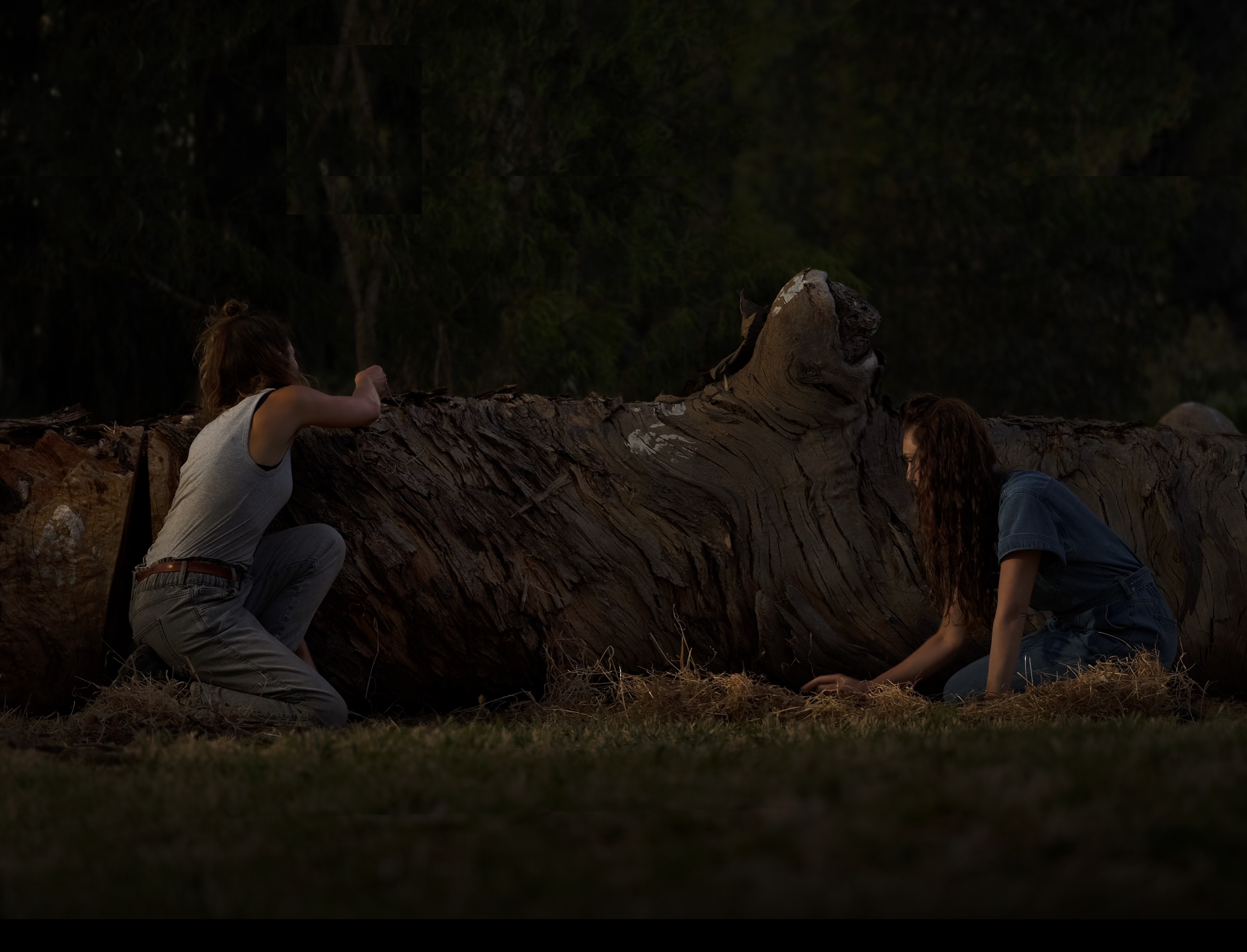 witness/ tree - Nexus Arts | Nexus Arts