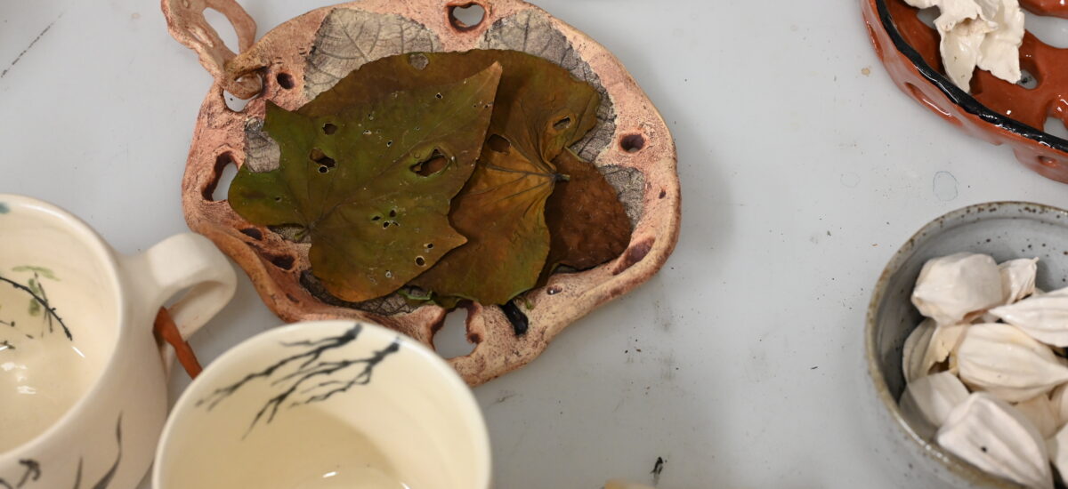 Opening Night: Root and Fruit - Sharing of home garden nostalgia ...